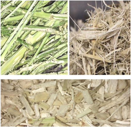 Investigation on the physical, mechanical and tribological properties ...