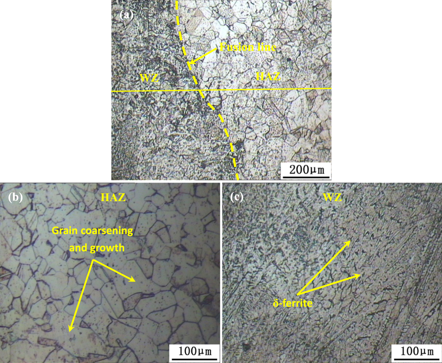 Investigations on the microstructure, mechanical properties and ...