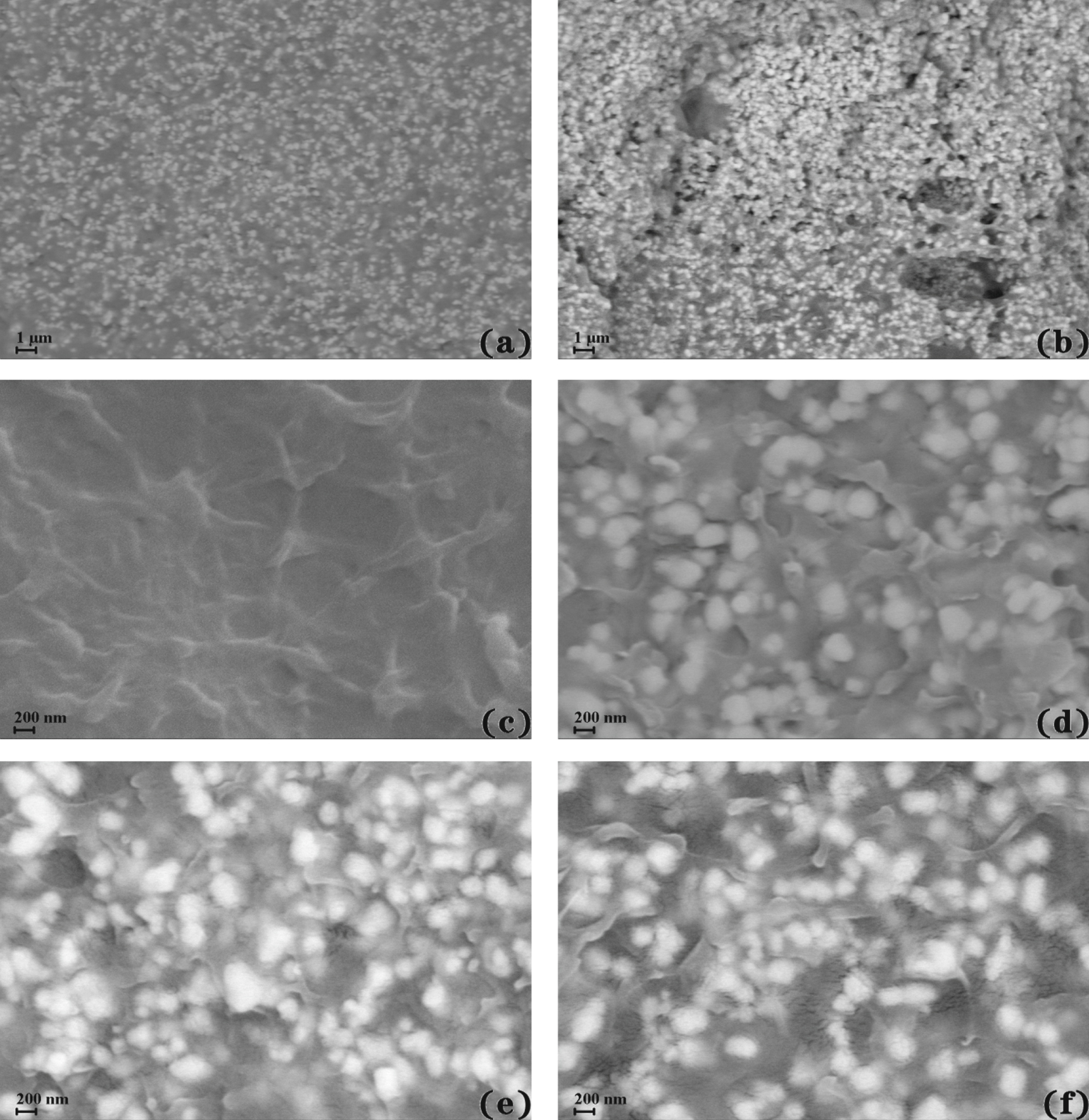Influence of coupling agent on the microstructure and dielectric ...