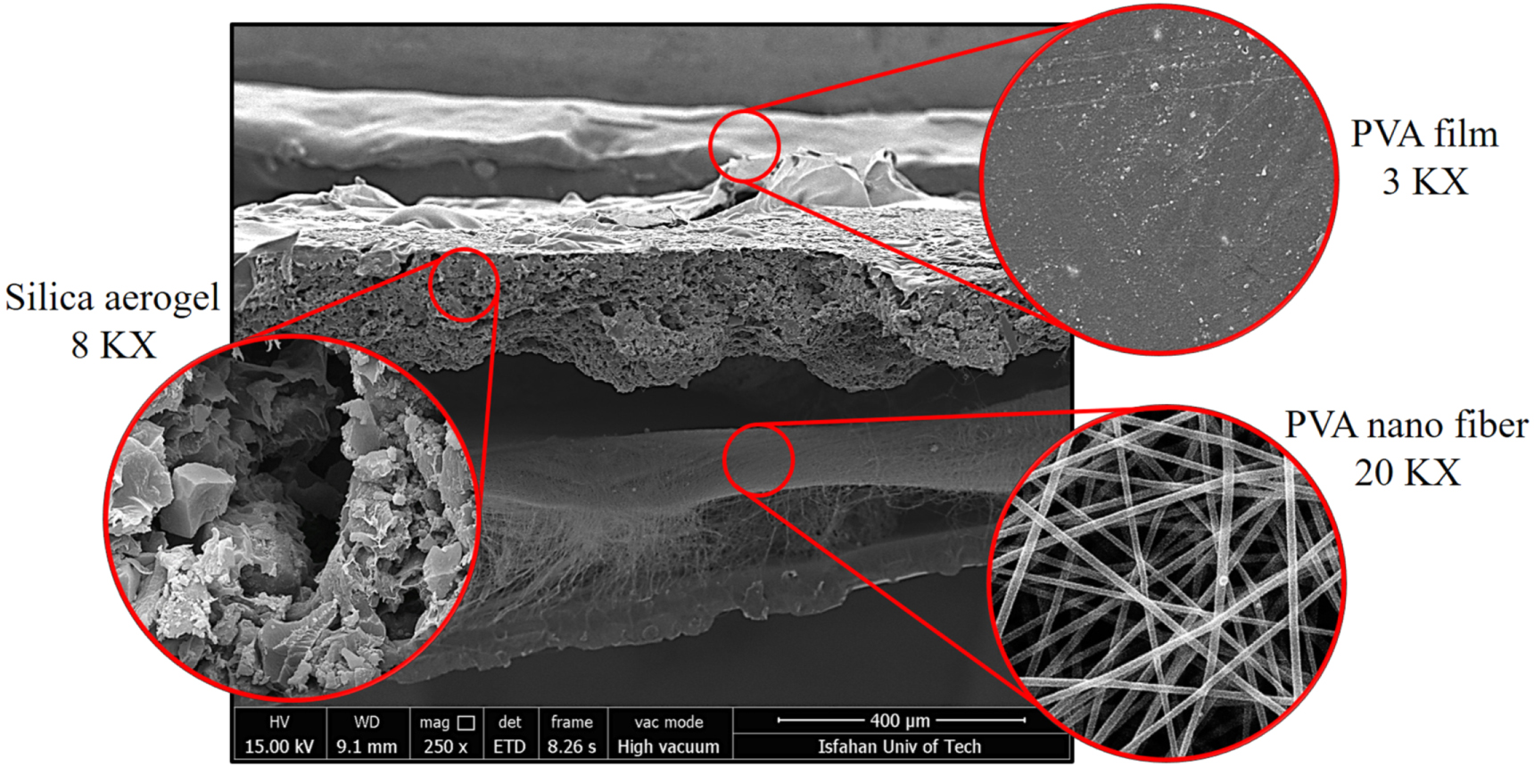 Novel multi-layer silica aerogel/PVA composite for controlled drug ...