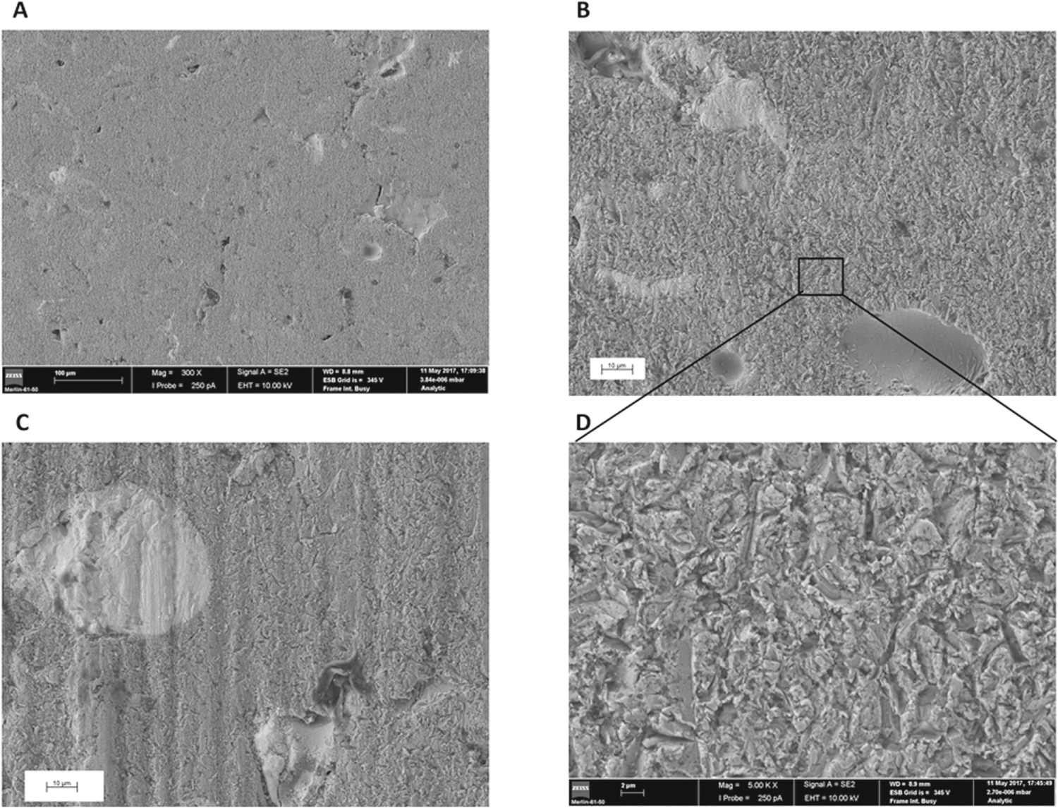 Fe based (W,Ti)C EAS and WC-12Co HVOF sprayed coatings: microstructure ...
