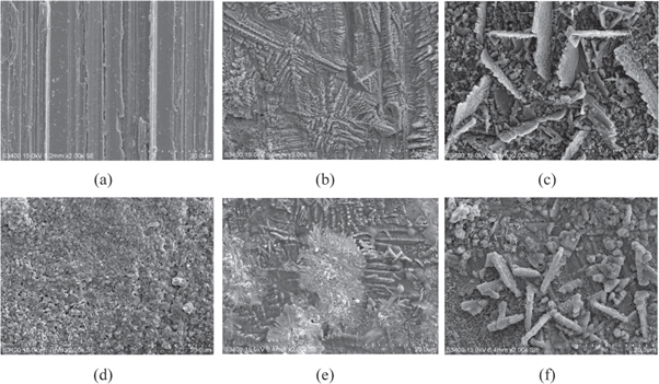 Electrochemical study of the corrosion behavior of bronze under acetic ...