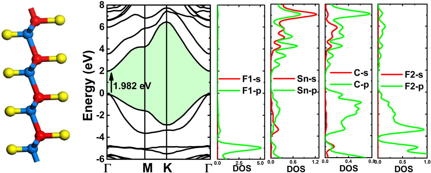 Structural and electronic properties of chemically functionalized SnC ...