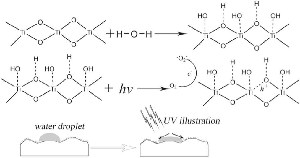 A facile hydrothermal synthesis and properties of TiO2 nanosheet array ...