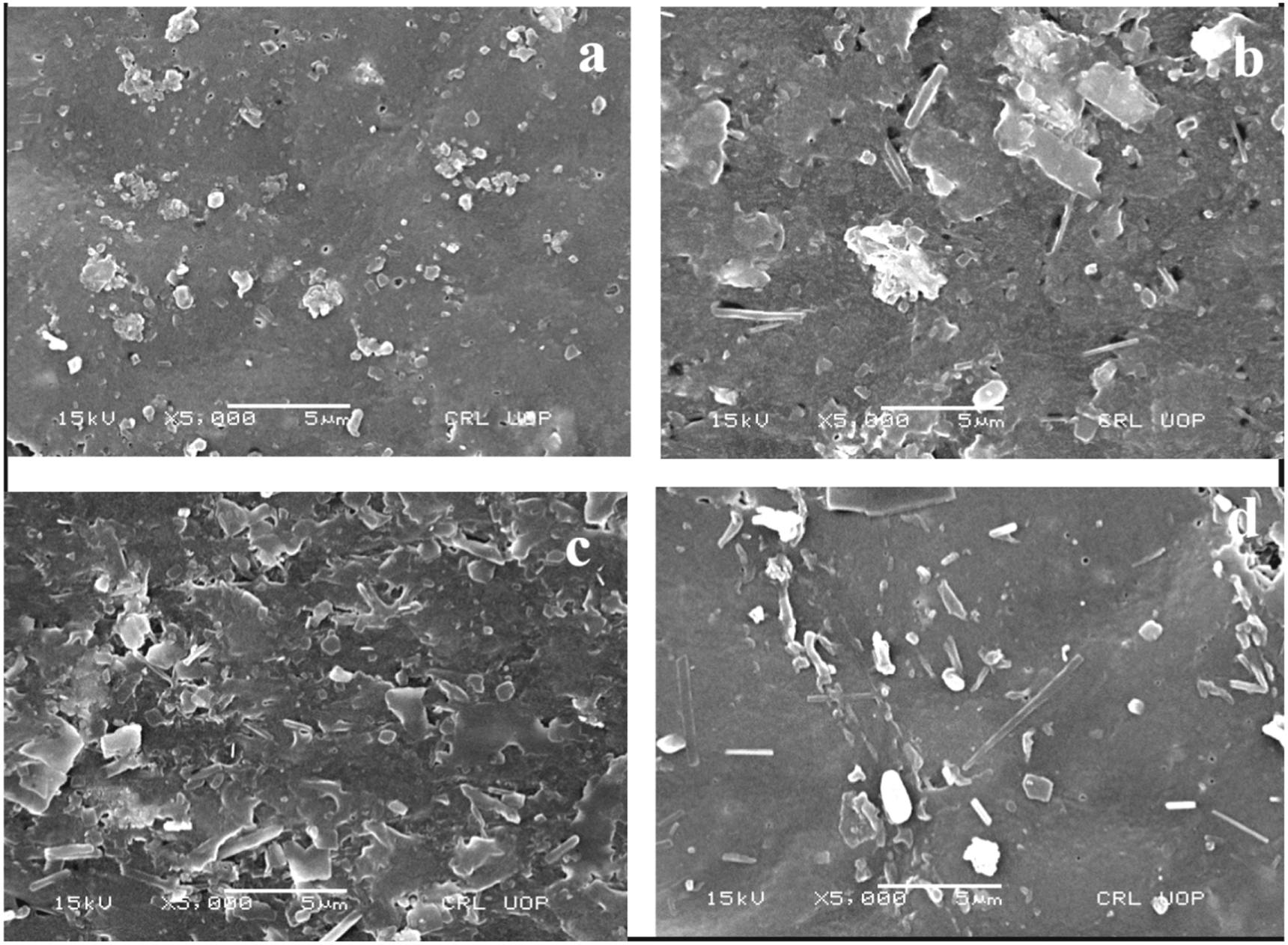 Synergistic augmentation of polypropylene composites by hybrid ...