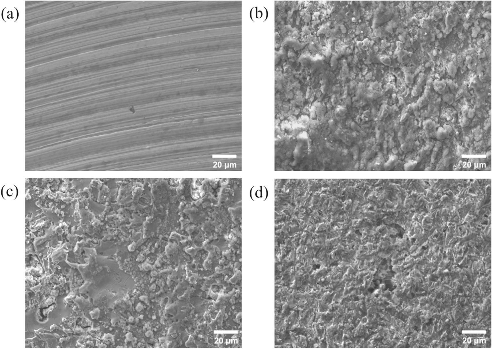 Advanced surface treatment techniques counteract biofilm-associated infections on dental ...