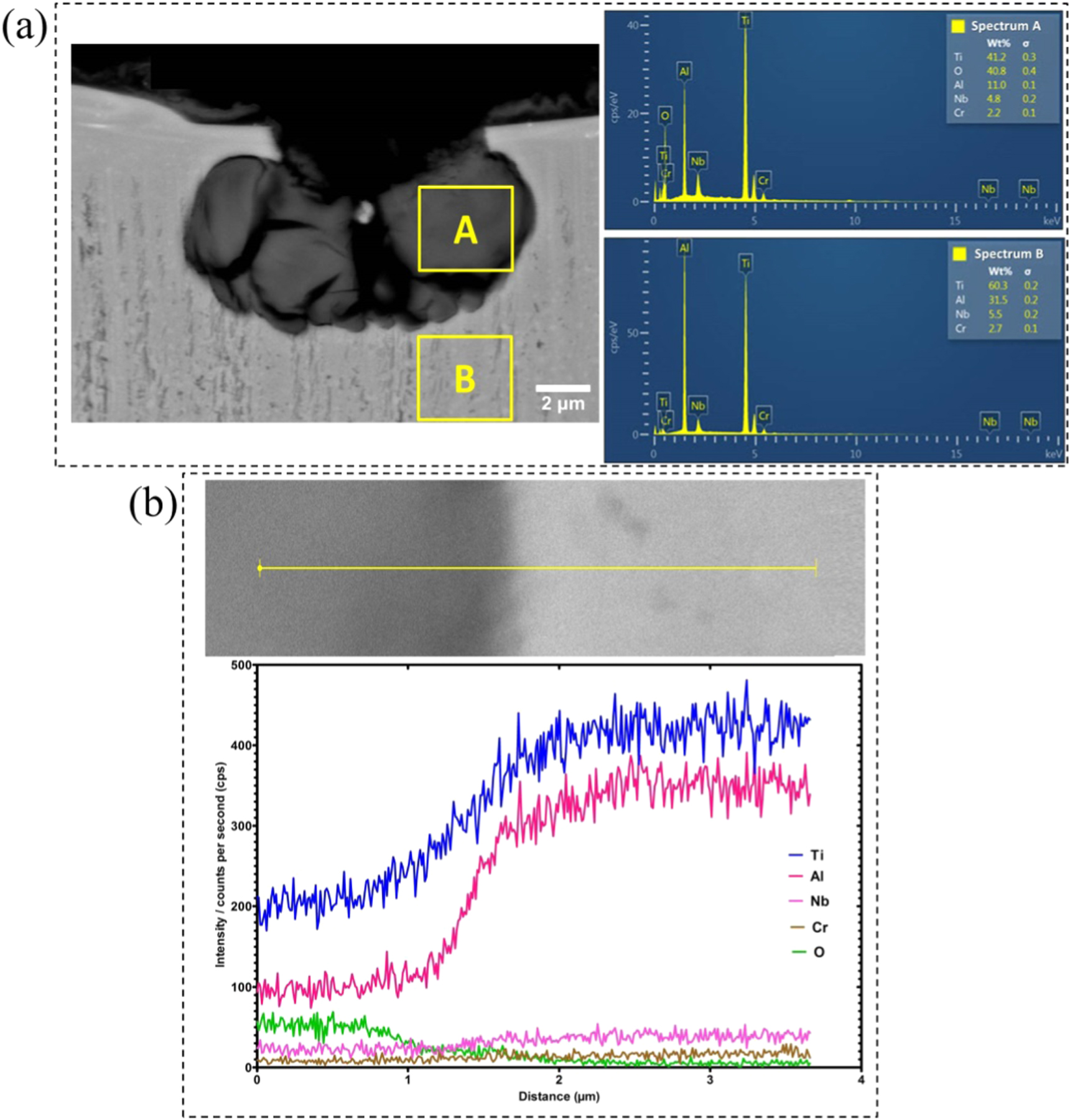 Advanced surface treatment techniques counteract biofilm-associated infections on dental ...