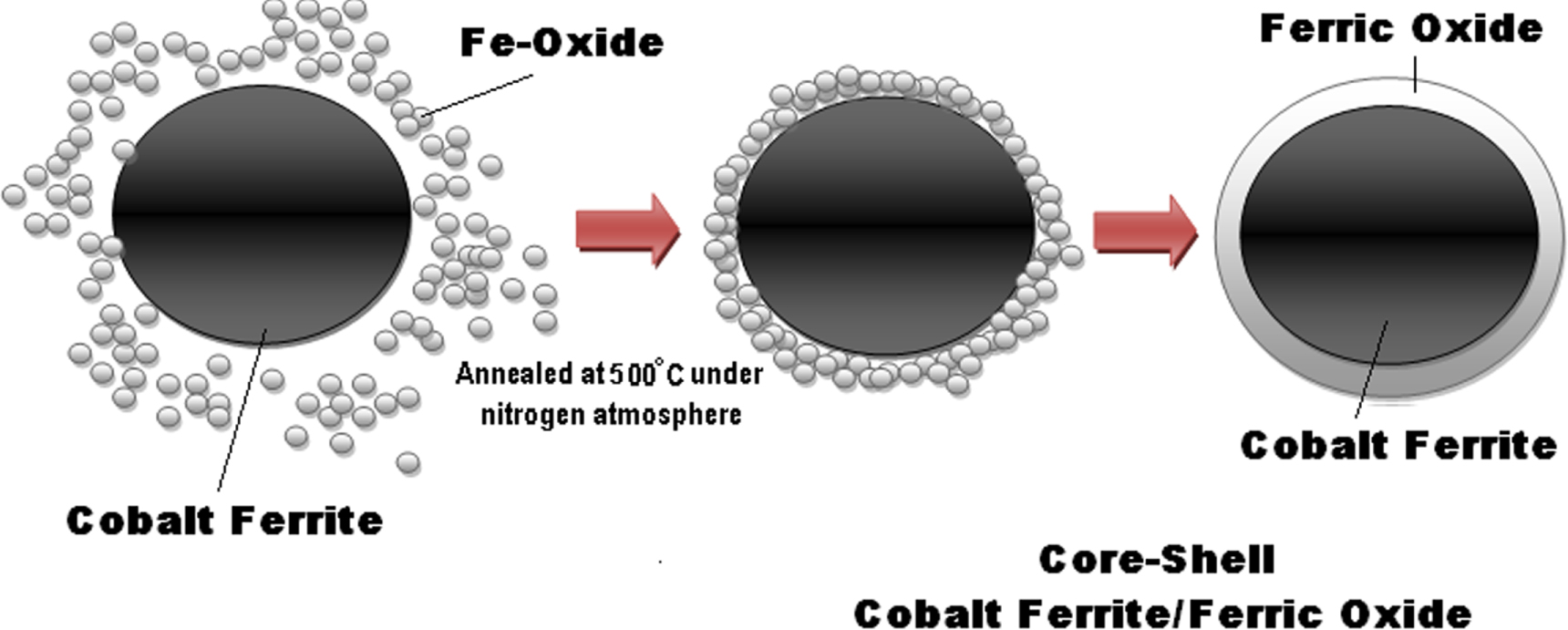 CoFe2O4–Fe3O4 bimagnetic heterostructure: a versatile core-shell ...