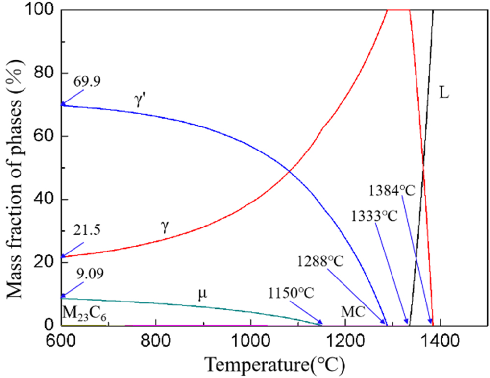 Microstructure evolution of DD6 during different heat treatment ...