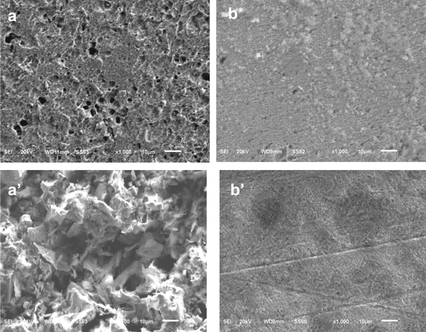 Adsorption ability, stability and corrosion inhibition mechanism of ...