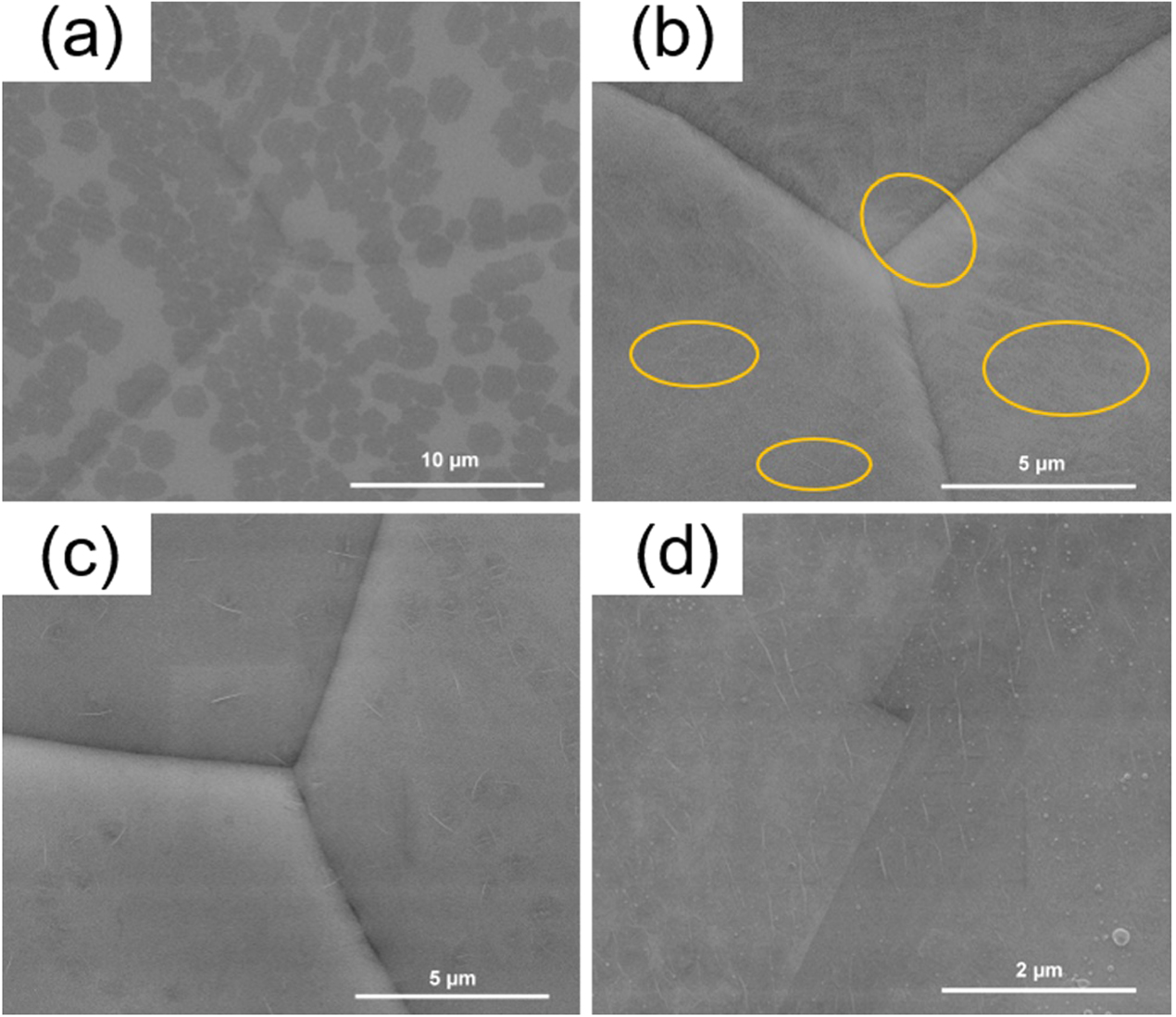 The synthesis of graphene coated copper from PMMA and the anticorrosion ...