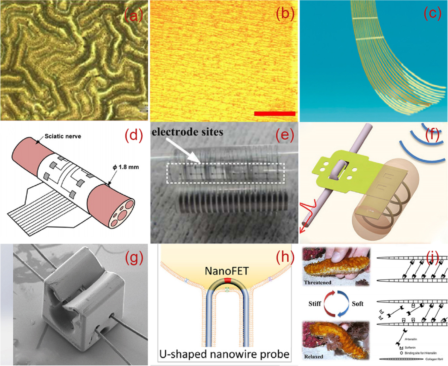 From the perspective of material science: a review of flexible ...
