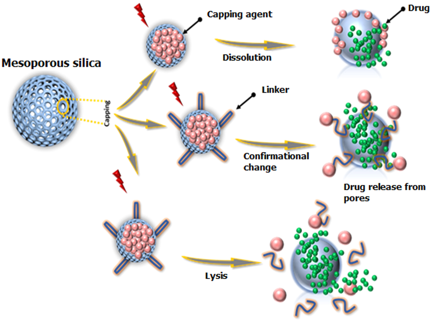 Role of mesoporous silica nanoparticles for the drug delivery ...