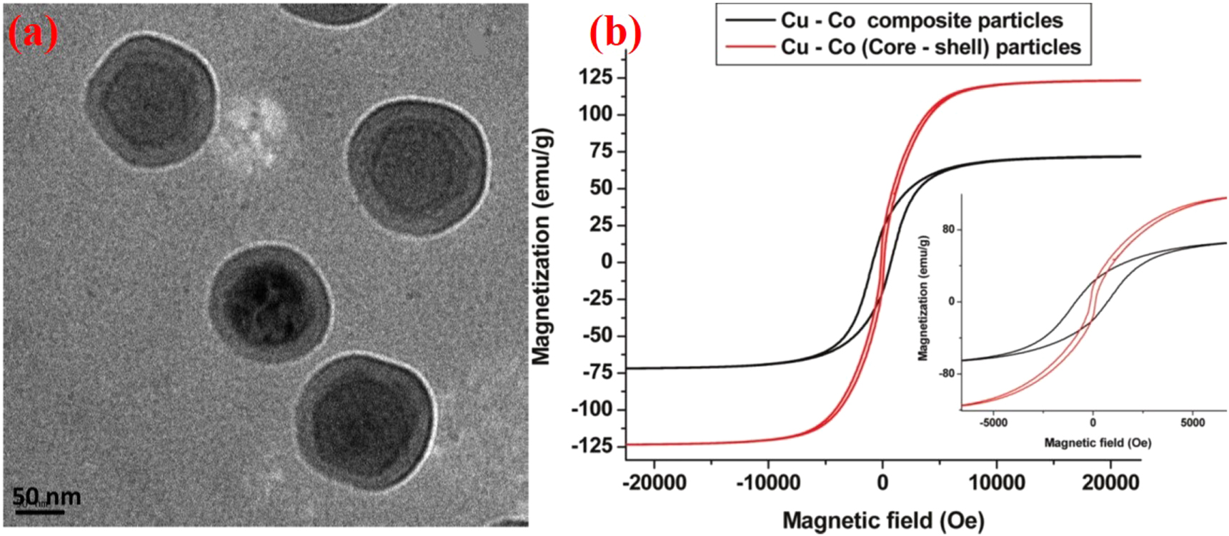 Nanostructures synthesized by the reverse microemulsion method and ...