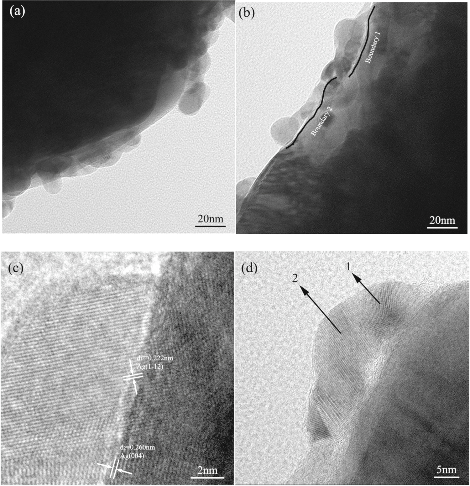 Study on the mechanism of forming silver nanoparticles on micron-scale ...