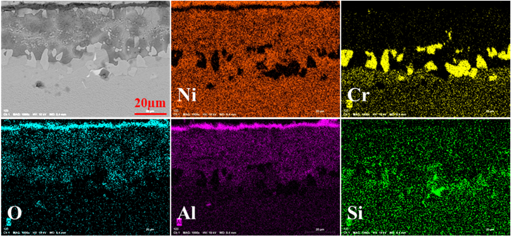 Effect of platinum and pre-oxidation on the hot corrosion behavior of ...