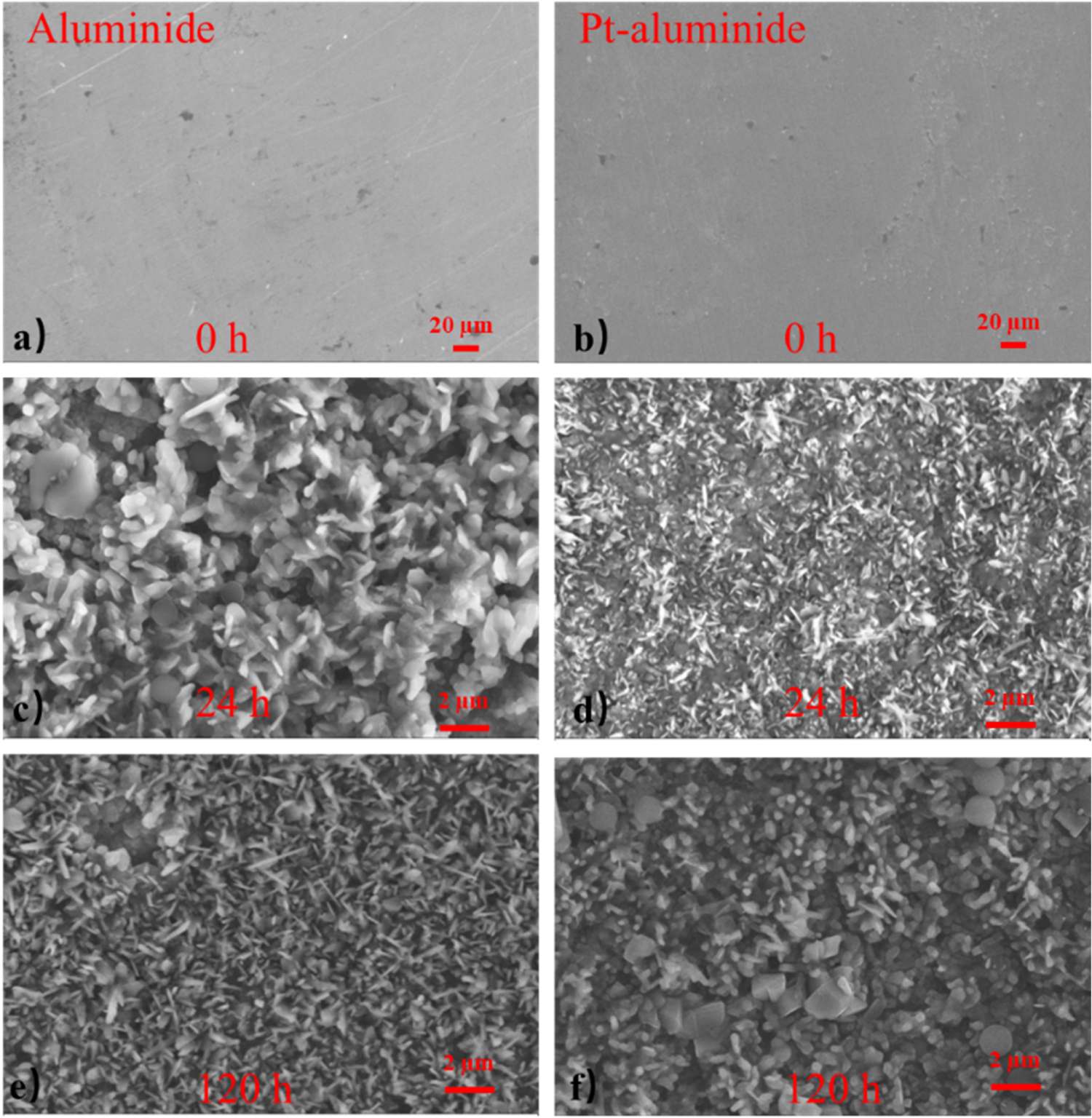 Effect of platinum and pre-oxidation on the hot corrosion behavior of ...