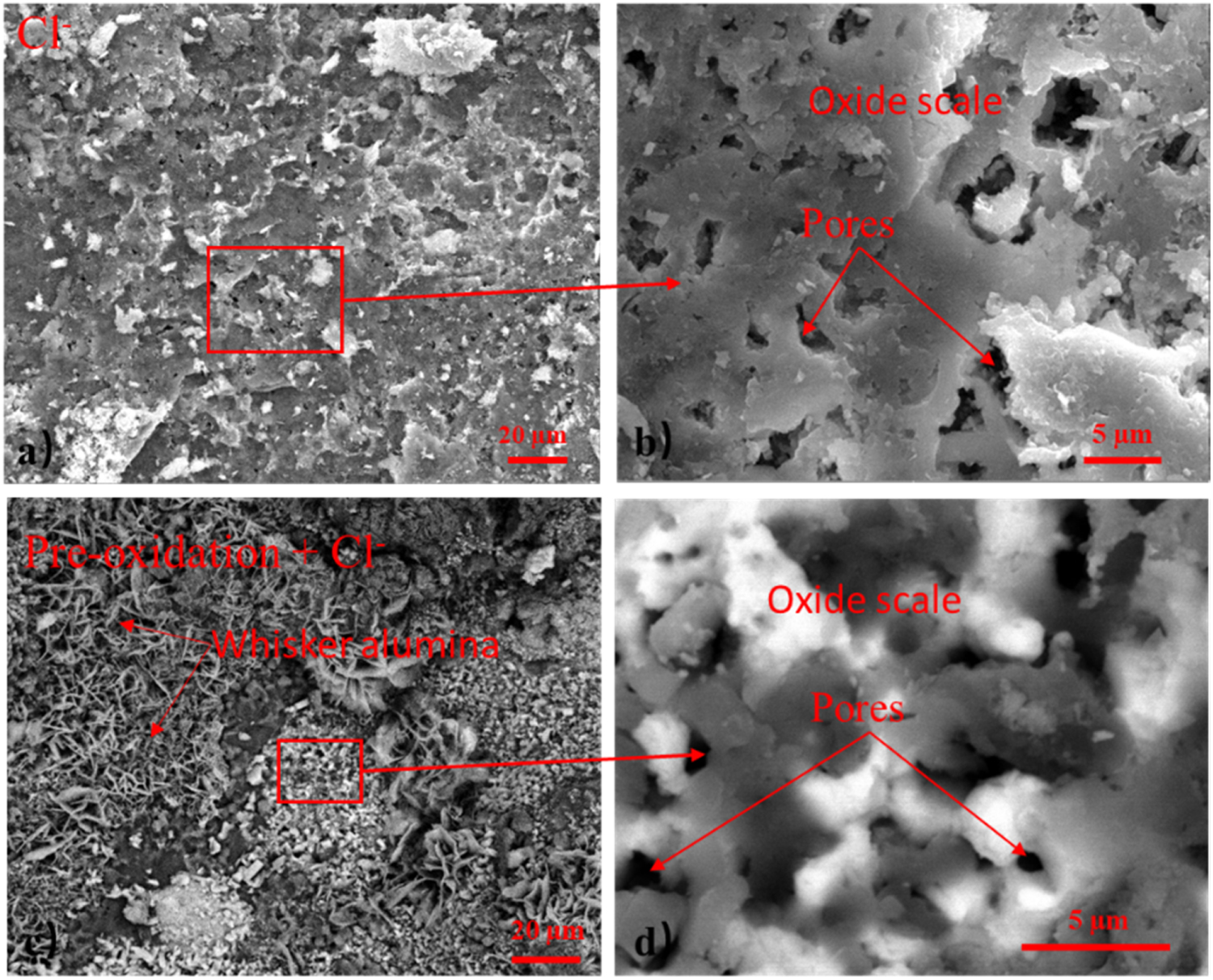 Effect of platinum and pre-oxidation on the hot corrosion behavior of ...