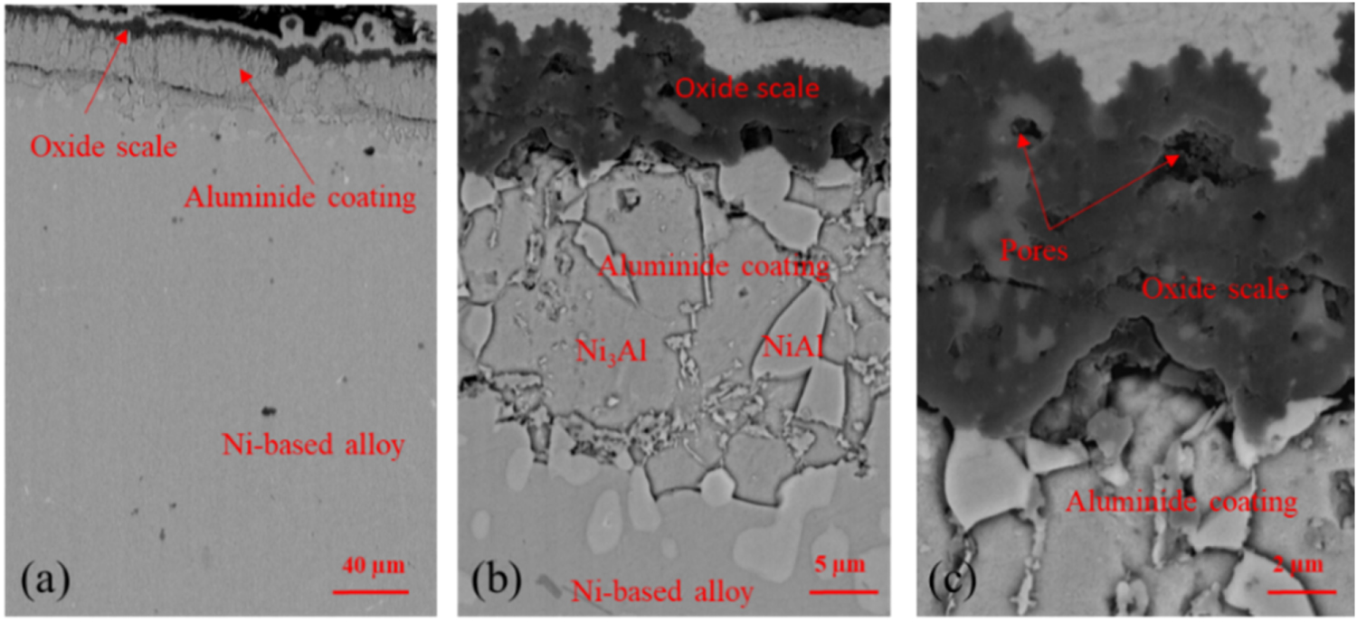 Effect of platinum and pre-oxidation on the hot corrosion behavior of ...