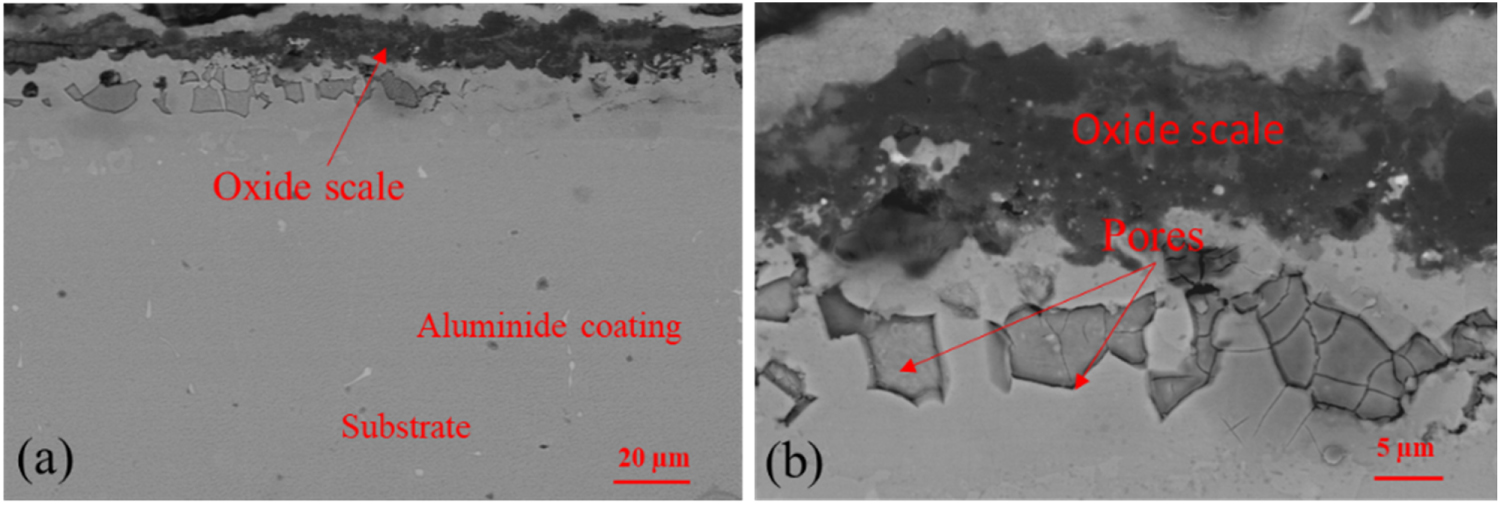 Effect of platinum and pre-oxidation on the hot corrosion behavior of ...