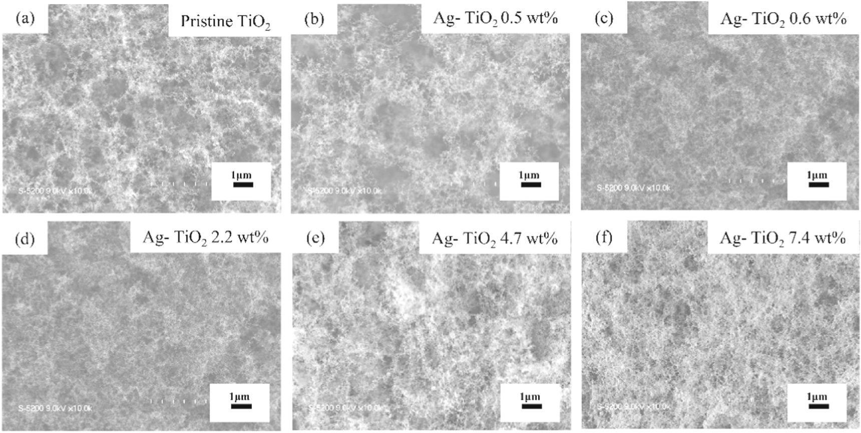Effect of Ag loading content on morphology and photocatalytic activity ...