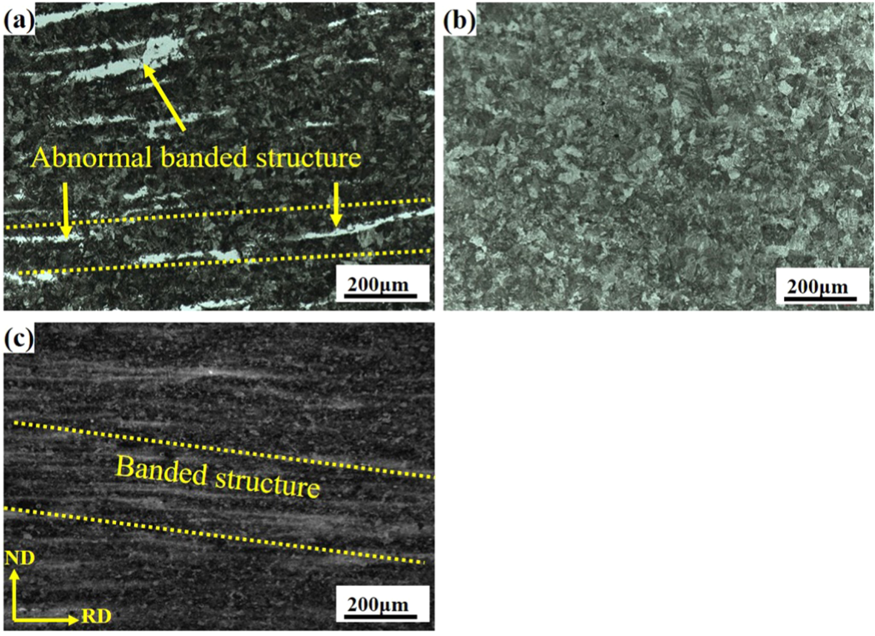 Effects of cooling method and elements segregation on the martensite ...