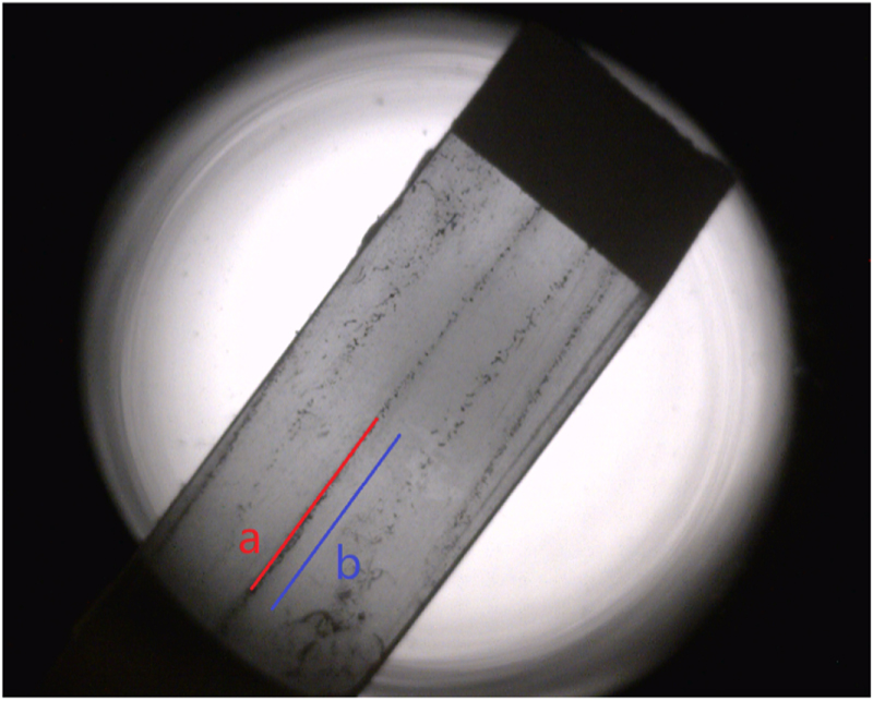 Study on precipitates in AgGaSe2 single crystal grown by vertical ...