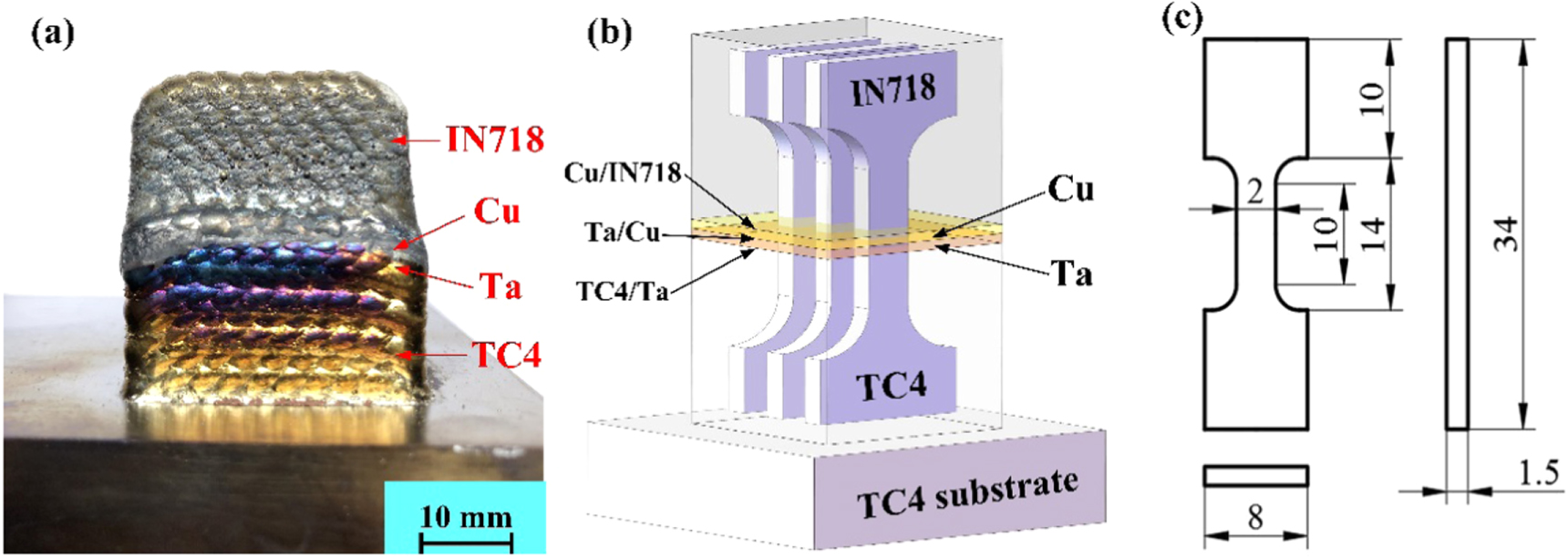 Laser additive manufacturing of bimetallic structure from TC4 to IN718 ...