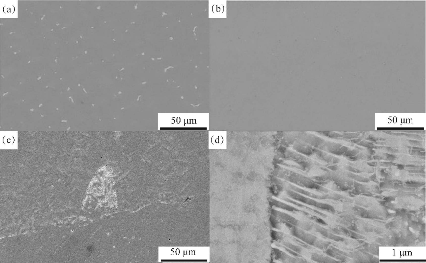 Evolution of microstructure and properties of Cu-4.5 wt.% Ag alloy ...