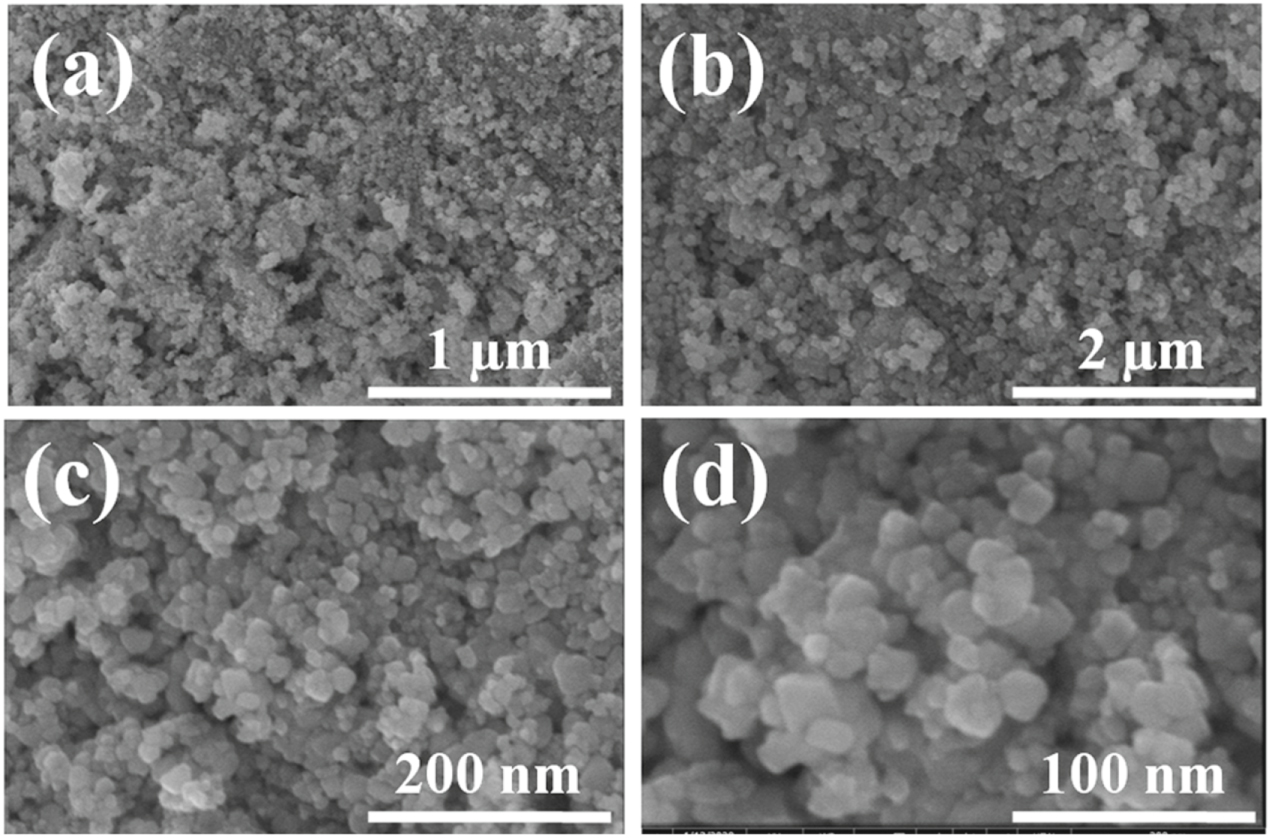 Green synthesis of cobalt oxide nanoparticles for potential biological ...