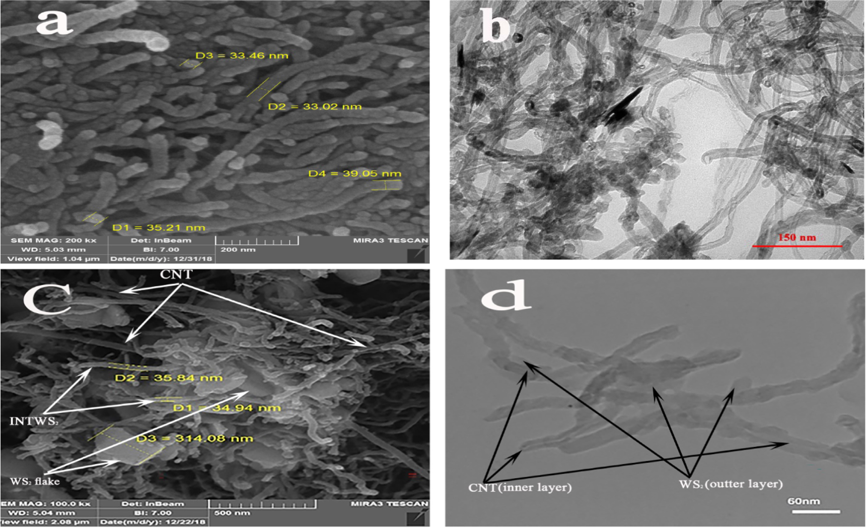Synthesis of WS2/CNT hybrid nanoparticles for fabrication of hybrid ...