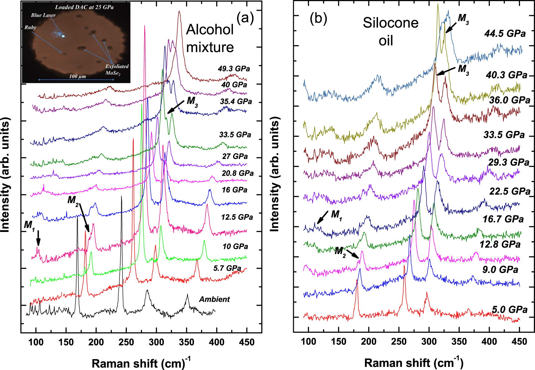 High pressure anomalies in exfoliated MoSe2: resonance Raman and x-ray ...
