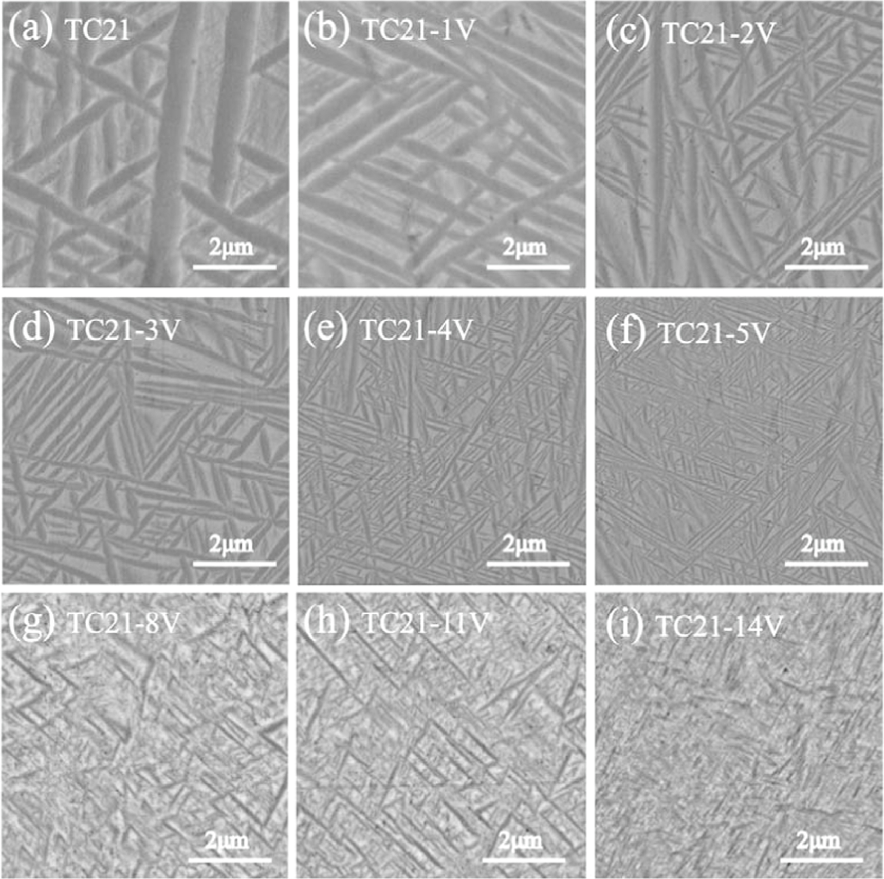 Design of high strength titanium alloy through finding a critical ...