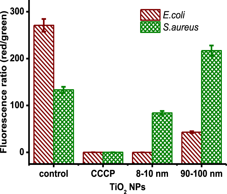 Study to elucidate effect of titanium dioxide nanoparticles on ...