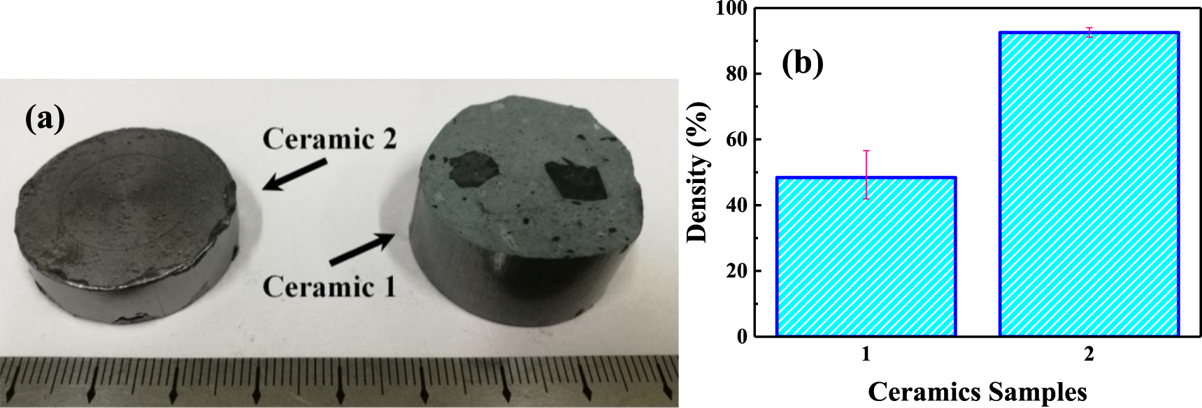 Silicon carbide low temperature sintering: the particle size effect of ...