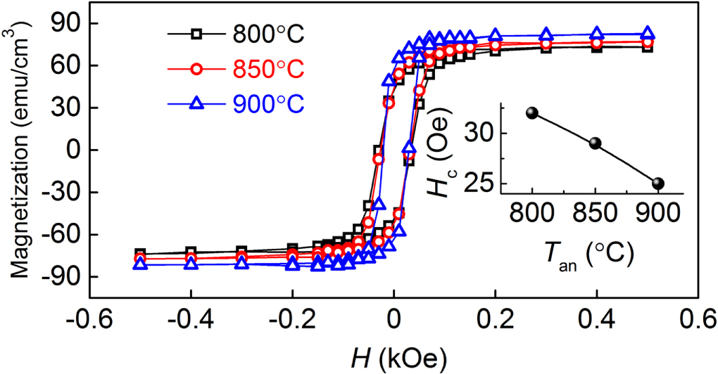 Electrical generation and detection of spin waves in polycrystalline ...