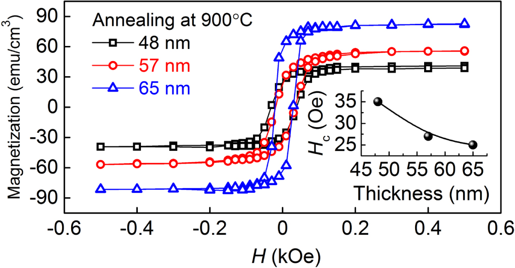 Electrical generation and detection of spin waves in polycrystalline ...