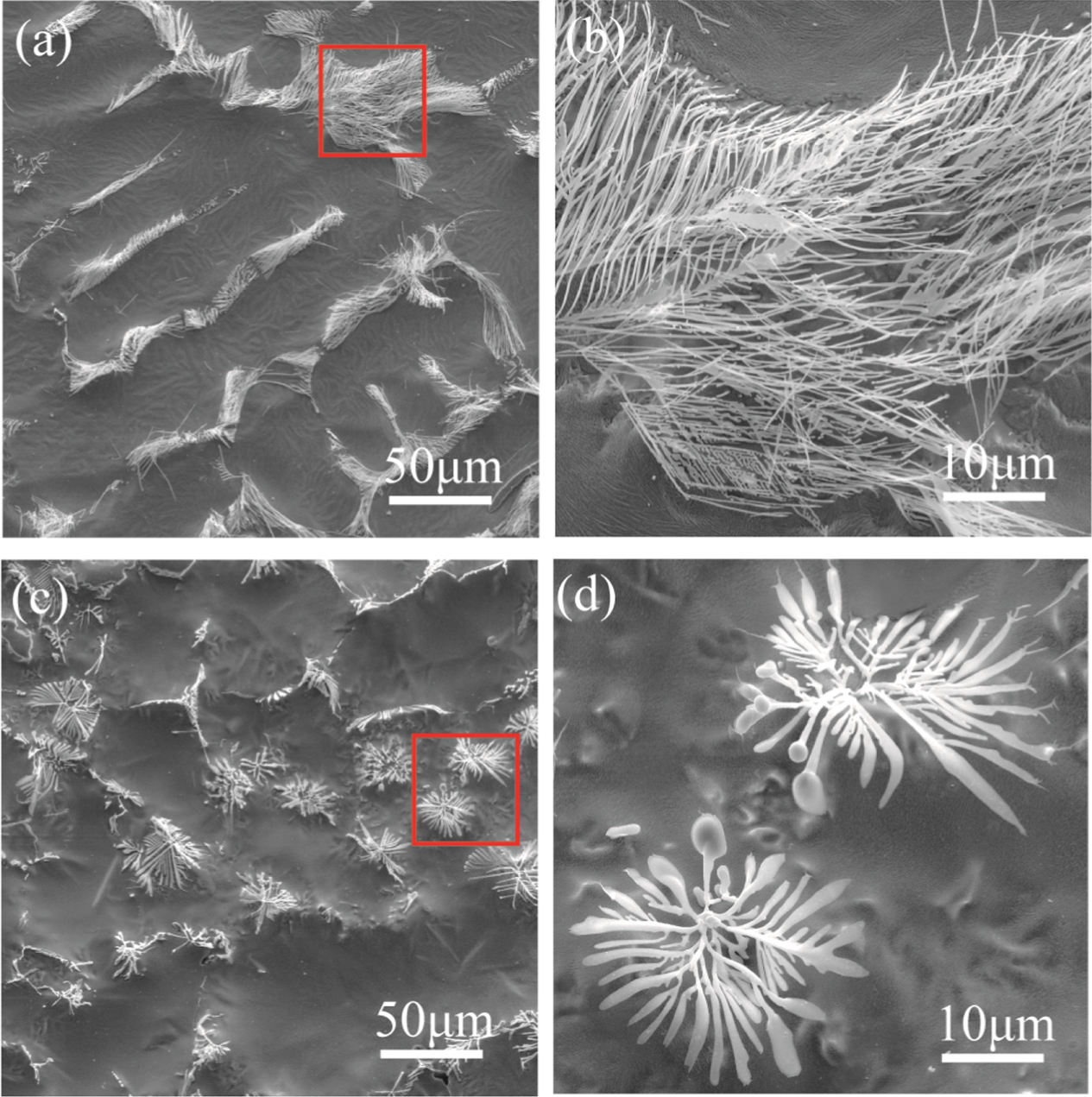 Solidification microstructure of Cu–Cr and Cu–Cr-In alloys - IOPscience