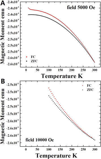 Magnetic vortex and unsaturated magnetization components in highly ...
