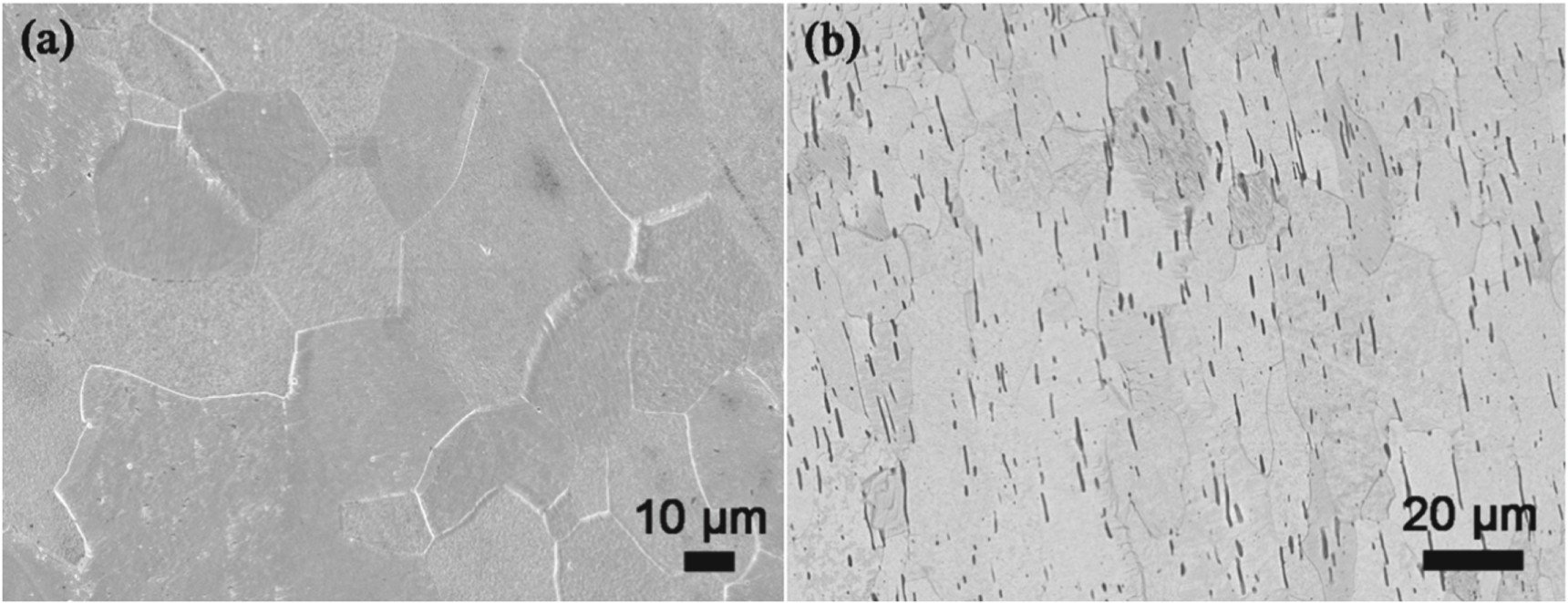 Texture evolution of tungsten materials during recrystallization ...