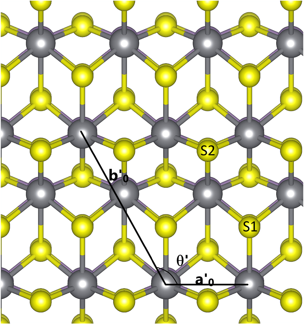 2D 1T′-MoS2-WS2 van der Waals heterostructure for hydrogen evolution ...