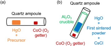 Rapid crystal growth of triple-layered cuprate superconductor ...