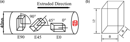 Effect of initial texture on the {10–12} twinning variants selection mechanism in AZ31 magnesium ...