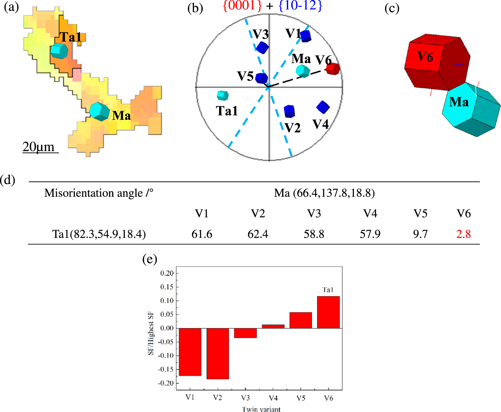 Effect of initial texture on the {10–12} twinning variants selection mechanism in AZ31 magnesium ...