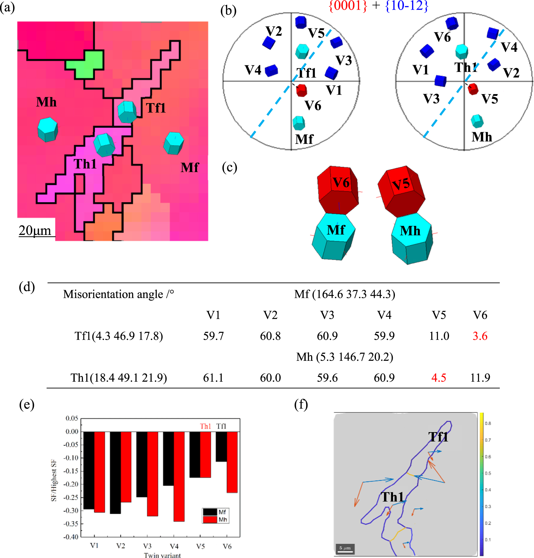 Effect of initial texture on the {10–12} twinning variants selection mechanism in AZ31 magnesium ...