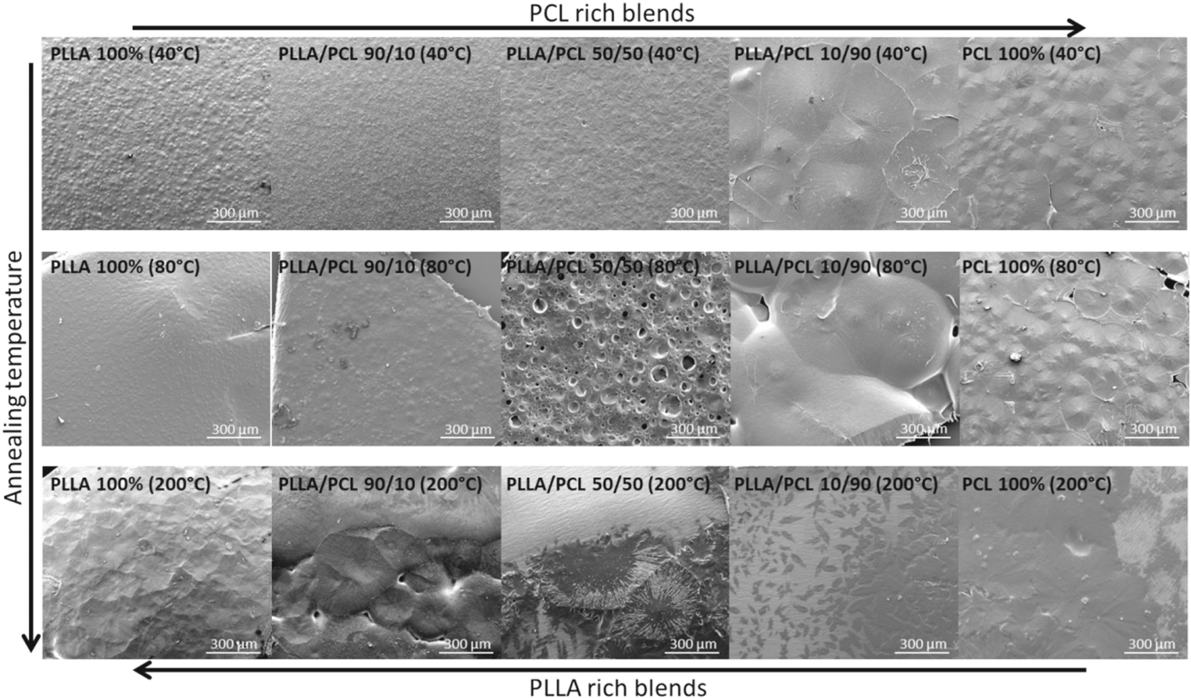 Physico chemical and phase separation characterization of high ...