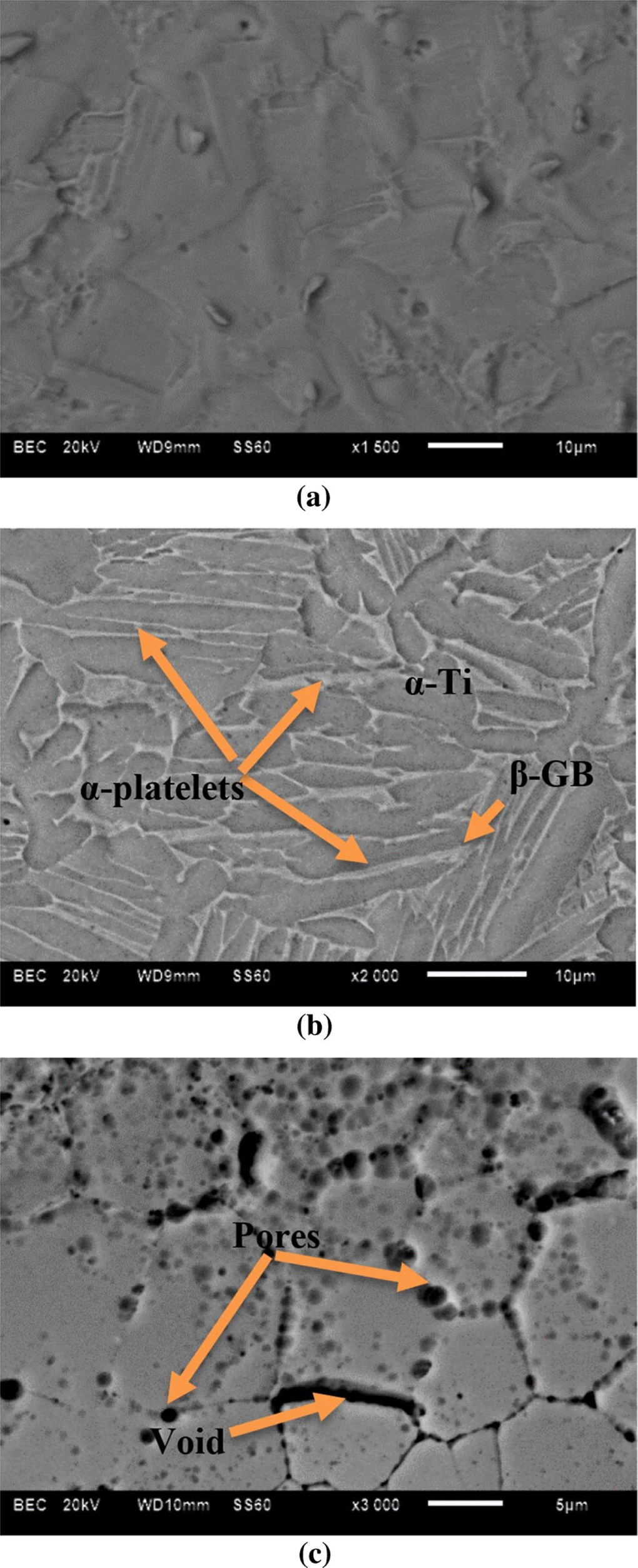 Titanium and titanium based alloy prepared by spark plasma sintering ...