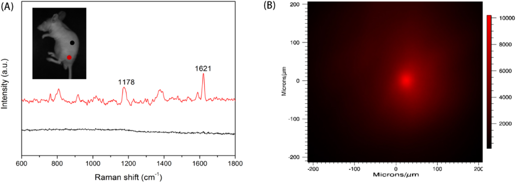 Fabrication of hydrogels with nanoparticles as surface-enhanced Raman ...