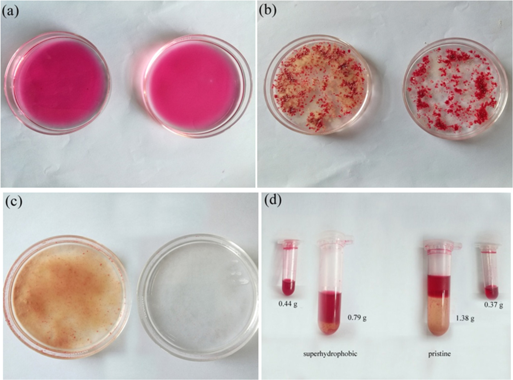 Preparation of recyclable corn straw fiber as oil absorbent via a one ...