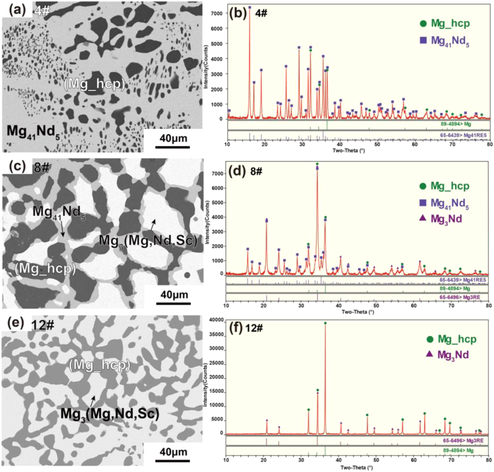 Experimental investigation of phase equilibria in the Mg-rich corner of ...